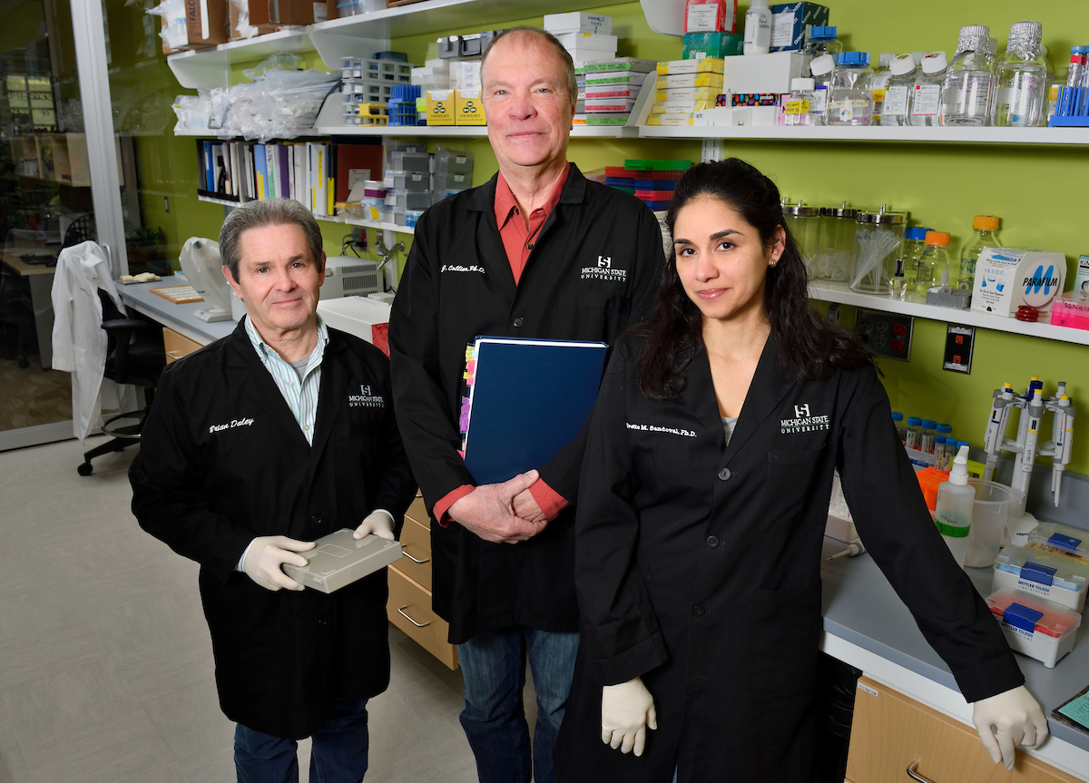 Collier Lab | Translational Neuroscience | Michigan State University