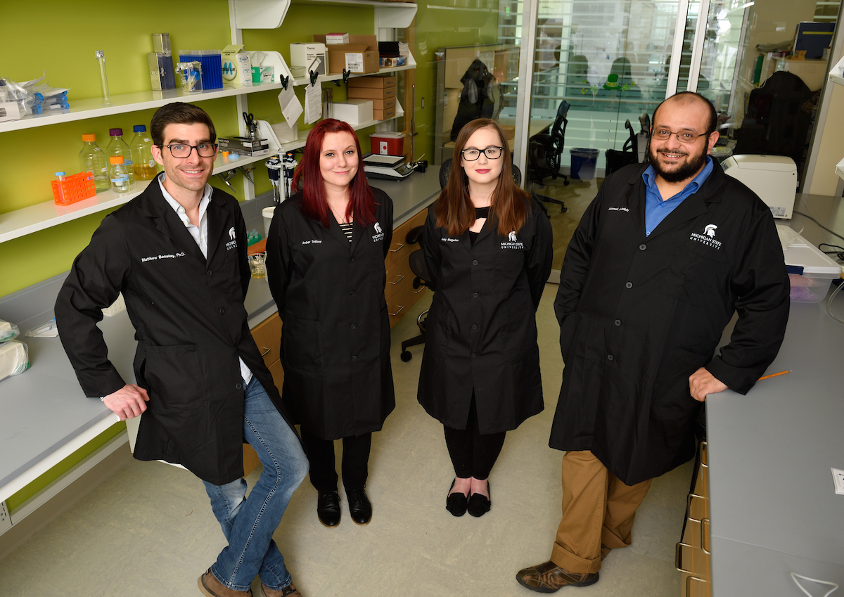 Morgan Lab | Translational Neuroscience | Michigan State University